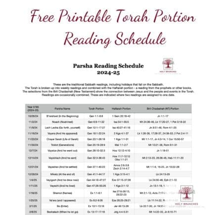 Torah Portion Reading Schedule for 2024-25 - Holy Branches